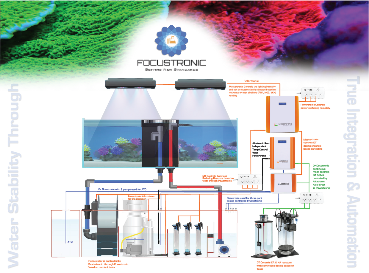 How it all works ? | Focustronic Australia
