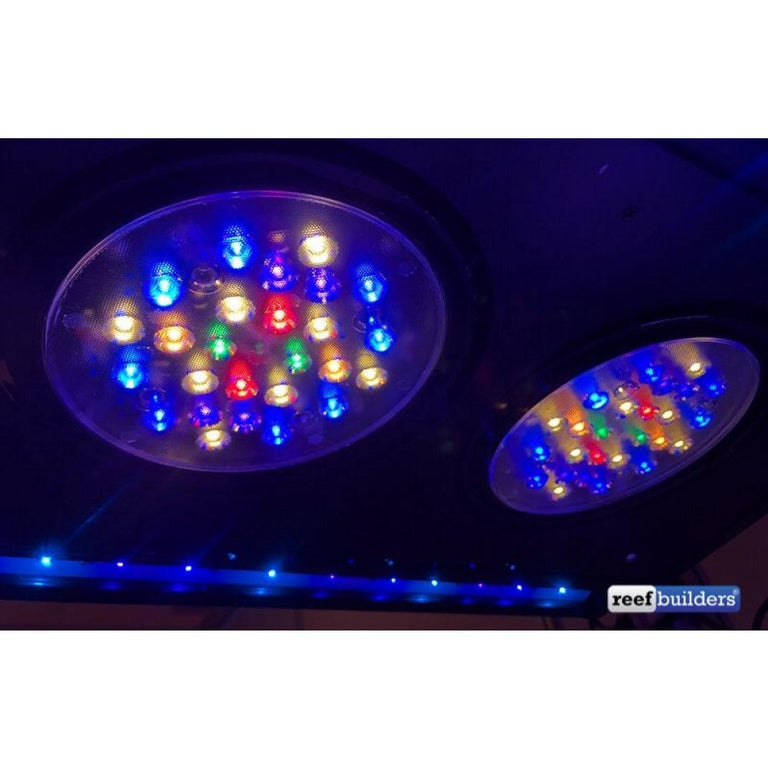 Solartronic (Special Order Only) | Focustronic Australia